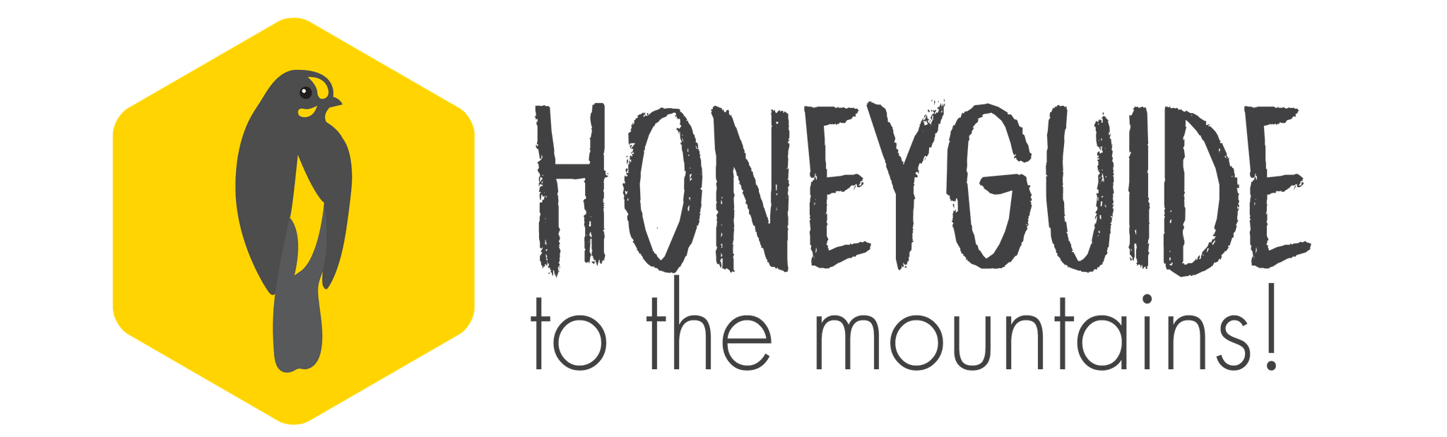 About Us | HoneyGuide