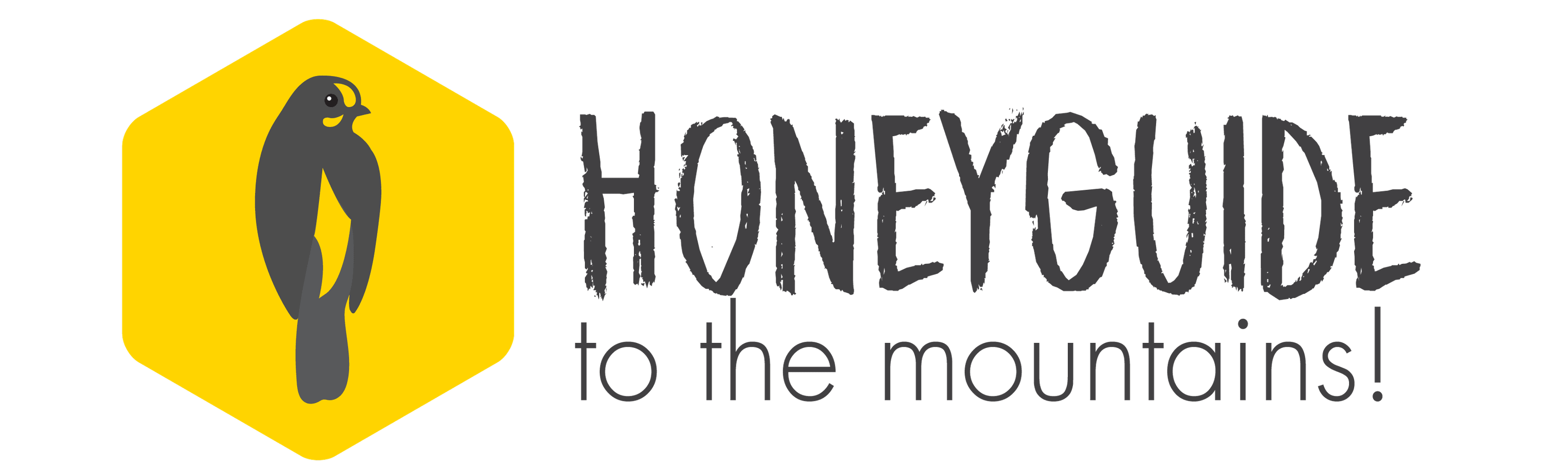 About Us | HoneyGuide